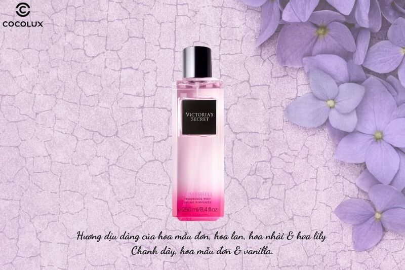 Đâu là body mist Mỹ được yêu thích nhất hiện nay?