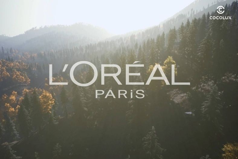 [GÓC REVIEW] Có Nên Dùng Chì Kẻ Mày L’Oreal 3 Trong 1 Brow Artist Designer Pro